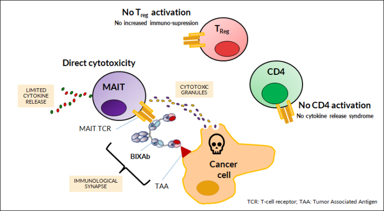 PIPELINE – Biomunex