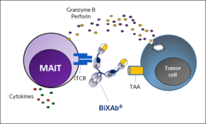 PIPELINE – Biomunex