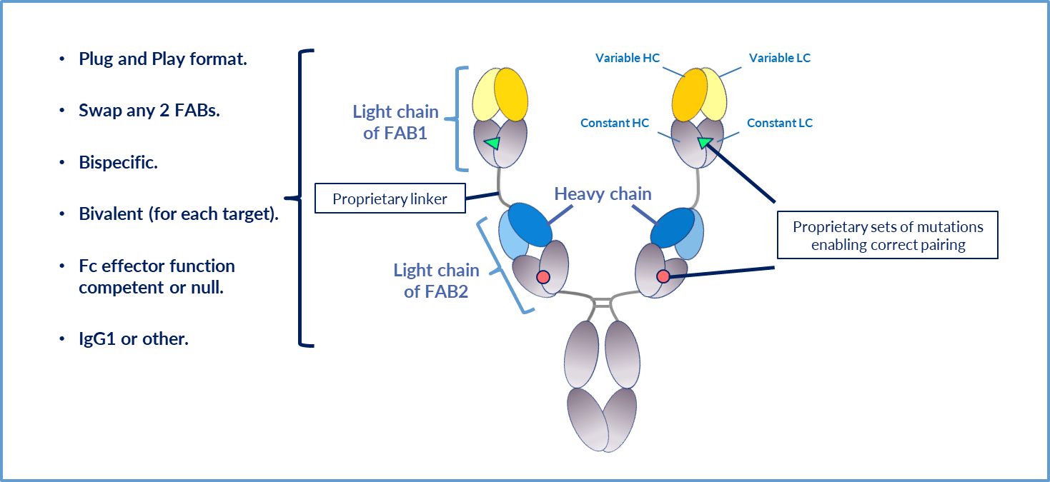 BiXAb® TECHNOLOGY – Biomunex